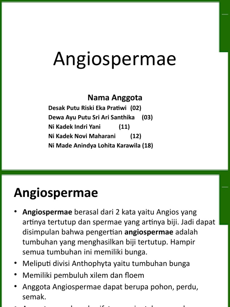Pengertian dan Klasifikasi Angiospermae | PDF