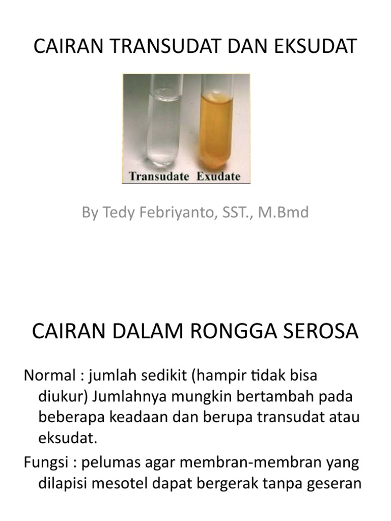 Cairan Transudat Dan Eksudat | PDF