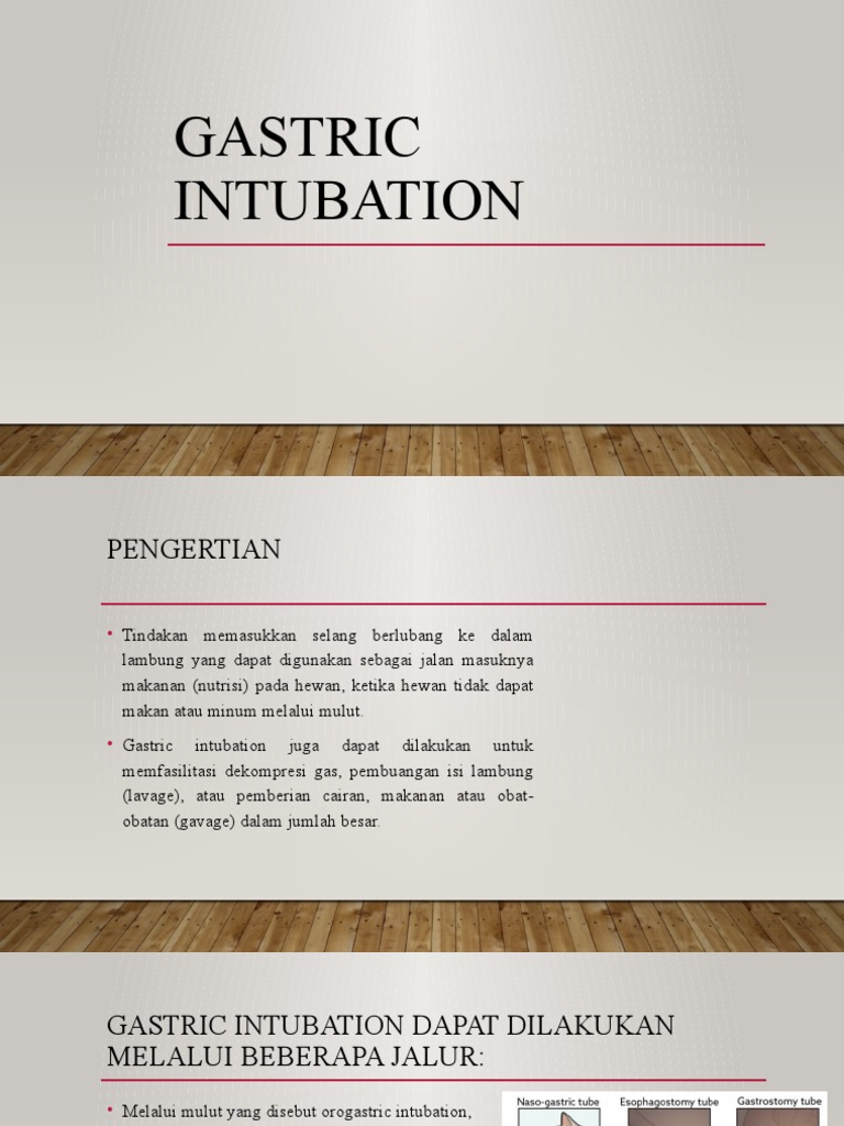 Gastric Intubation | PDF