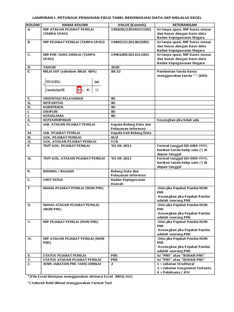 Petunjuk Pengisian Field Form Data SKP Melalui Excel | PDF