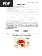 Shiroabhyanga (Paso A Paso) - Ok | PDF | Masaje | Medicina