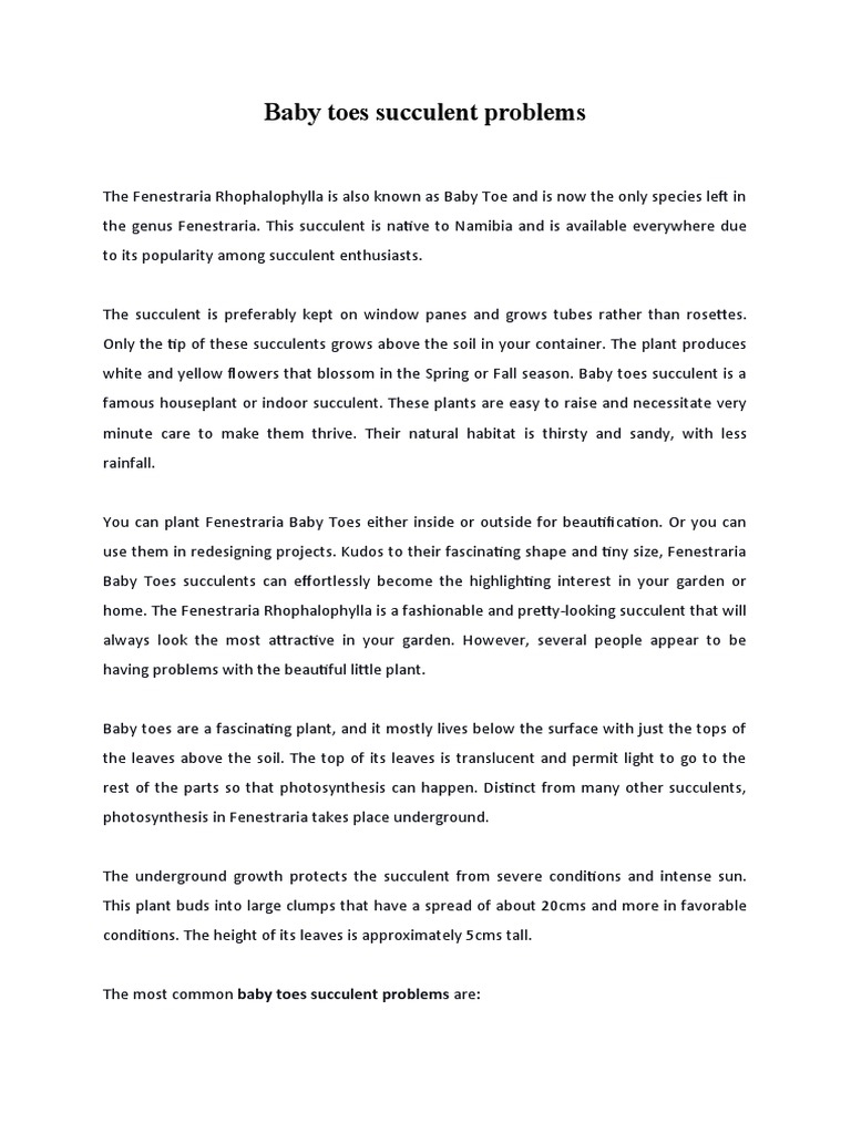 Baby Toes Succulent Problems | PDF | Succulent Plant | Frost