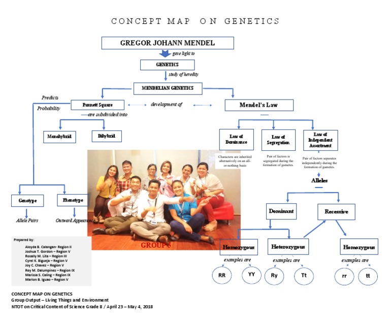 Concept Map O N Genetics: Gregor Johann Mendel | PDF | Evolutionary ...