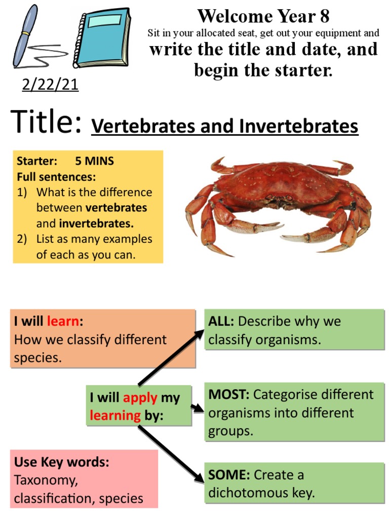 Vertebrates And Invertebrates Invertebrates | Definition, Types