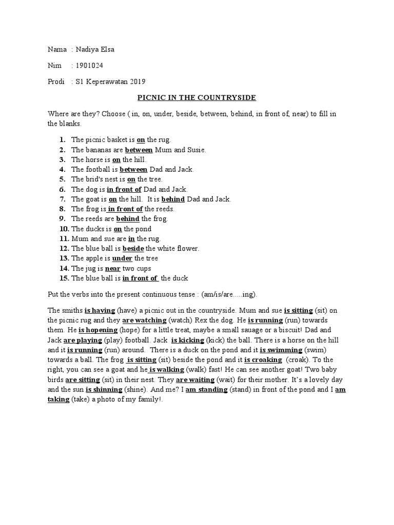Picnic in The Countryside Teaching English Grammar Present Continuous ...