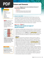 Video Recap of Osmosis by Amoeba Sisters Answer Set | PDF | Osmosis ...