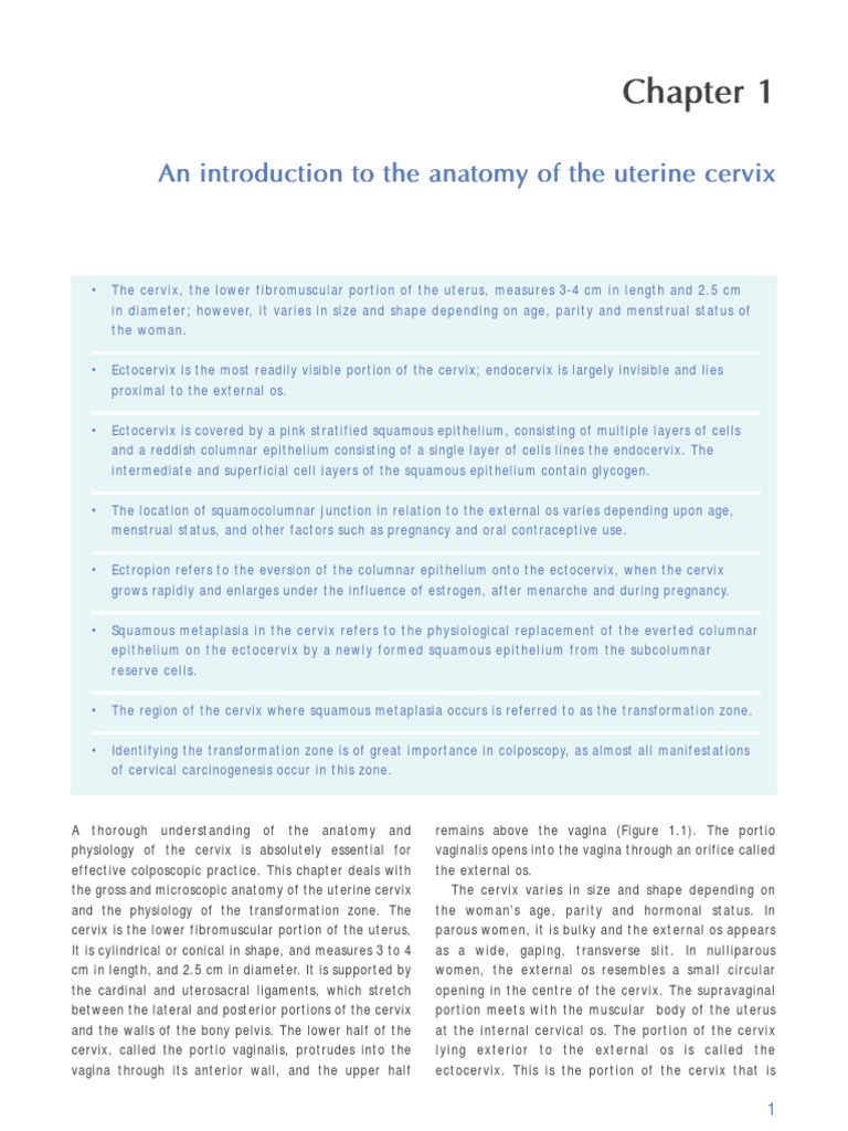 Anatomi Serviks | PDF | Epithelium | Mammal Female Reproductive System