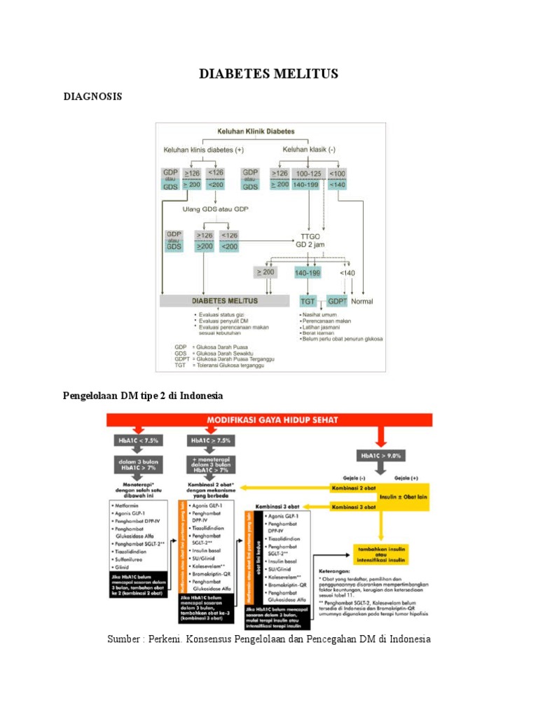 Algoritma DIABETES MELITUS | PDF