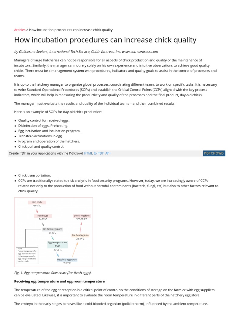 How Incubation Procedures Can Increase Chick Quality: Articles | PDF