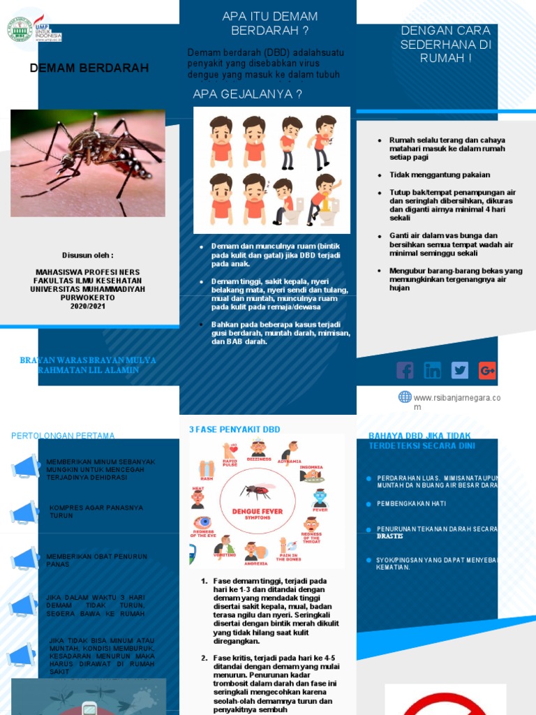 Cara Mudah Mencegah dan Menangani Demam Berdarah di Rumah | PDF