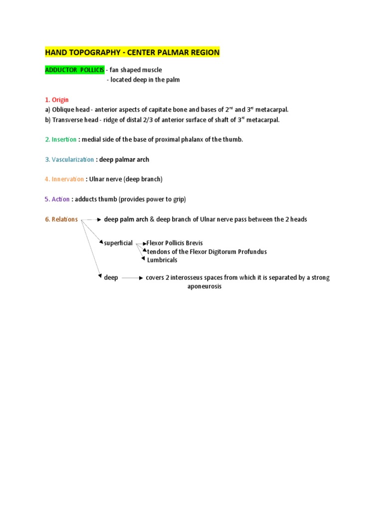II.36. Hand Topography - Central Palmar Region | PDF