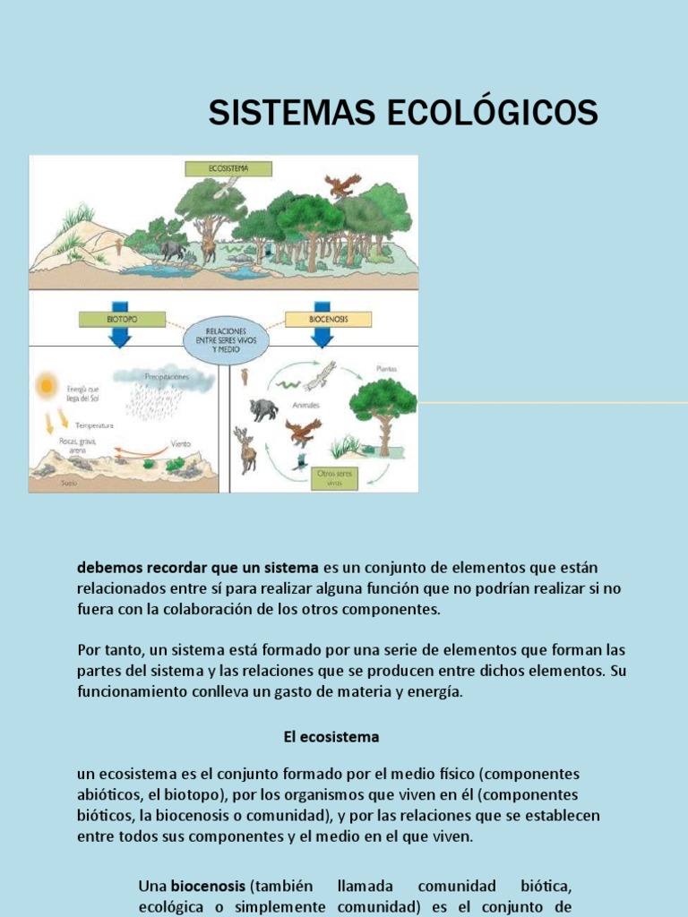 Sistemas Ecologicos | PDF | Ecosistema | Suelo