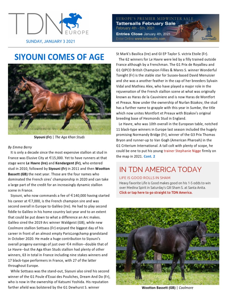 Siyouni Comes of Age: in TDN America Today | PDF | Horses | Animal Racing