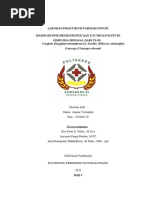 Kelompok 4 IDENTIFIKASI MAKROSKOPIS DAN MIKROSKOPIS RHIZOMA, FLOS, FRUCTUS DAN SEMEN | PDF