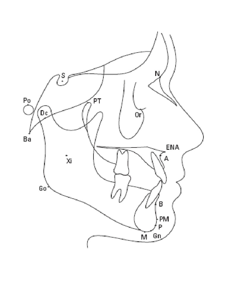 Cefalometria Plantilla | PDF