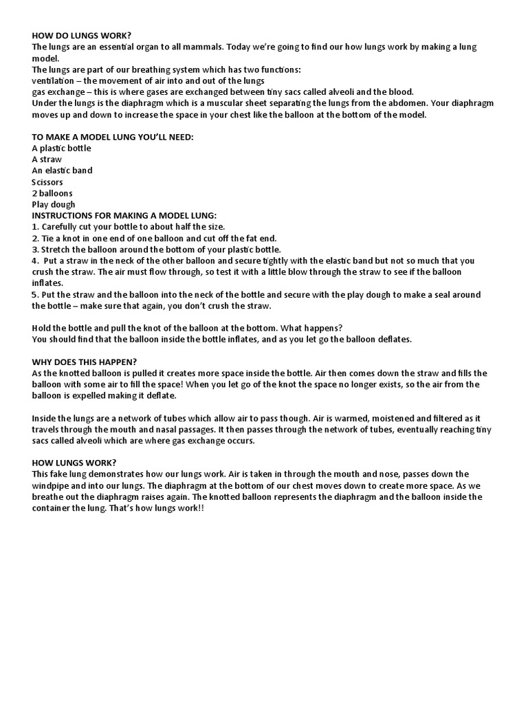 How Do Lungs Work | PDF