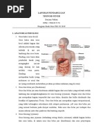 LP Demam Typhoid | PDF