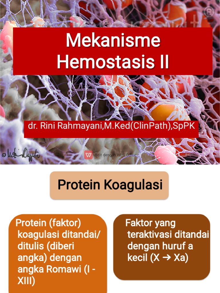Mekanisme Hemostasis II | PDF