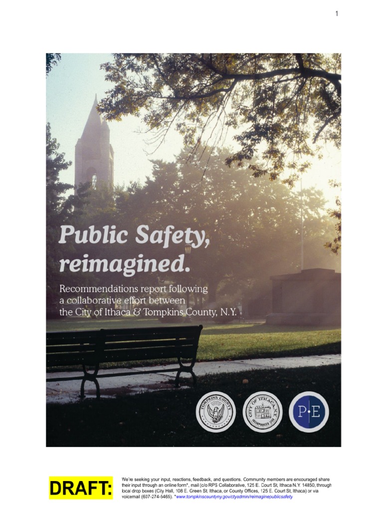 Reimagining Public Safety Report Draft | PDF | Sheriffs In The United ...