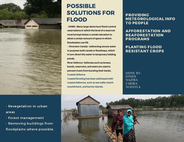 Flood Management and Solutions | PDF