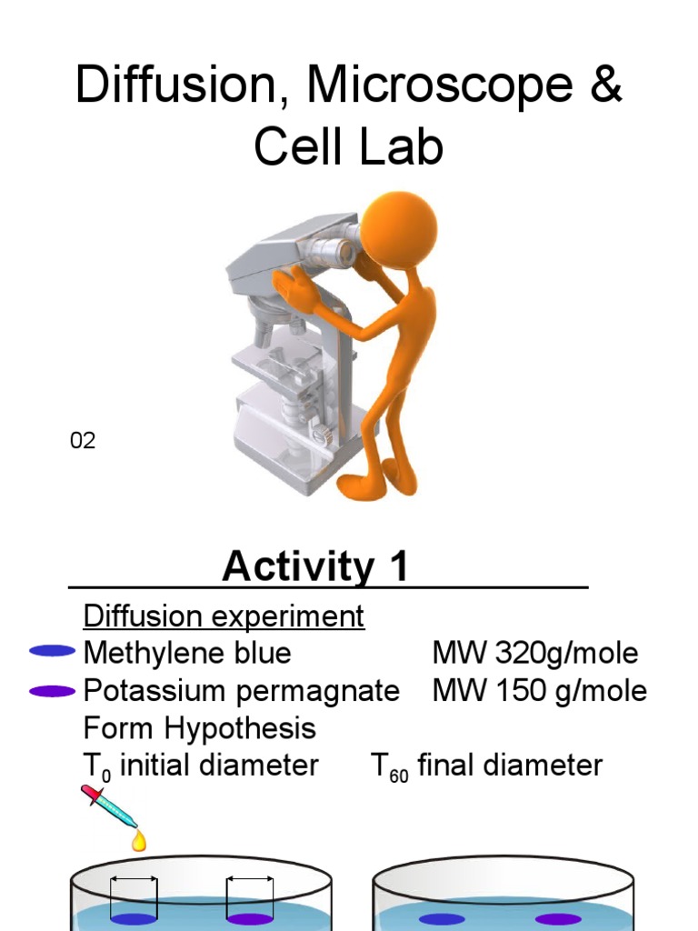 Diffusion, Microscope & Cell Lab | PDF | Multimedia | Microscope