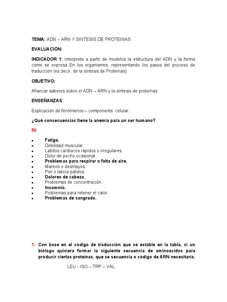 ADN, ARN y Síntesis de Proteínas | PDF | Adn | Rna
