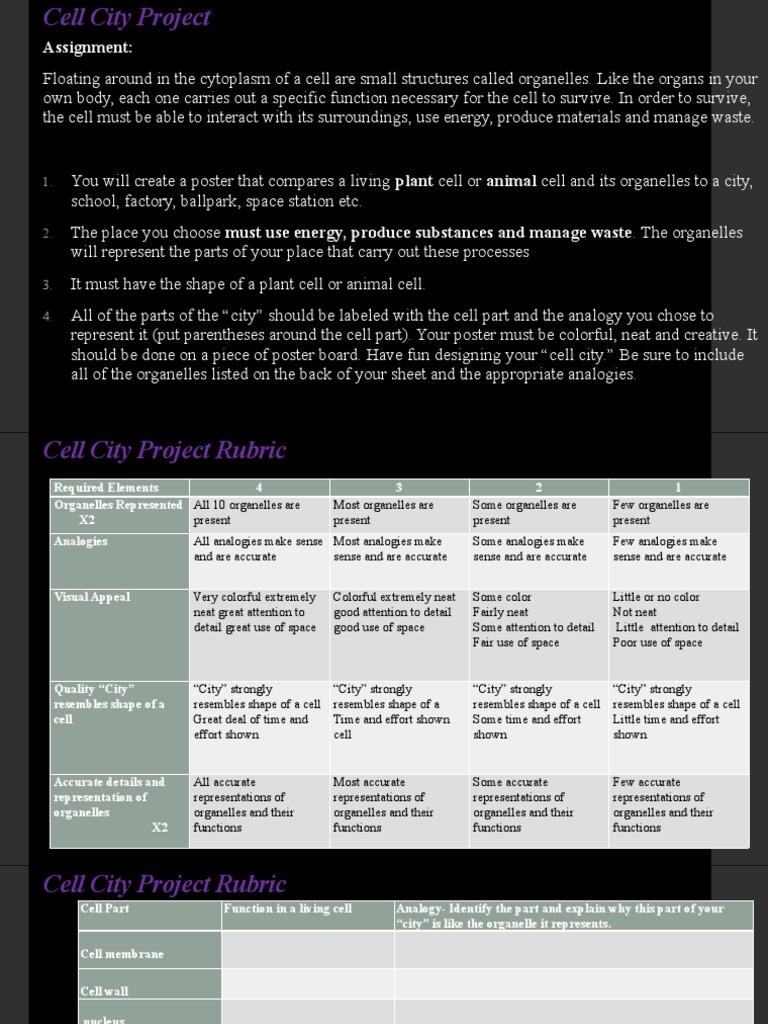 Cell City Project Assignment Guide | PDF | Endoplasmic Reticulum ...