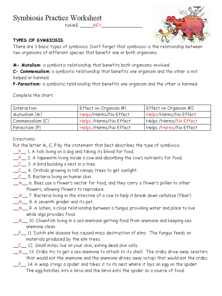 Symbiosis Practice Worksheet 2 KEY | PDF | Wellness