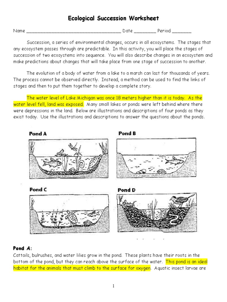 Ecological Succession Worksheet High School