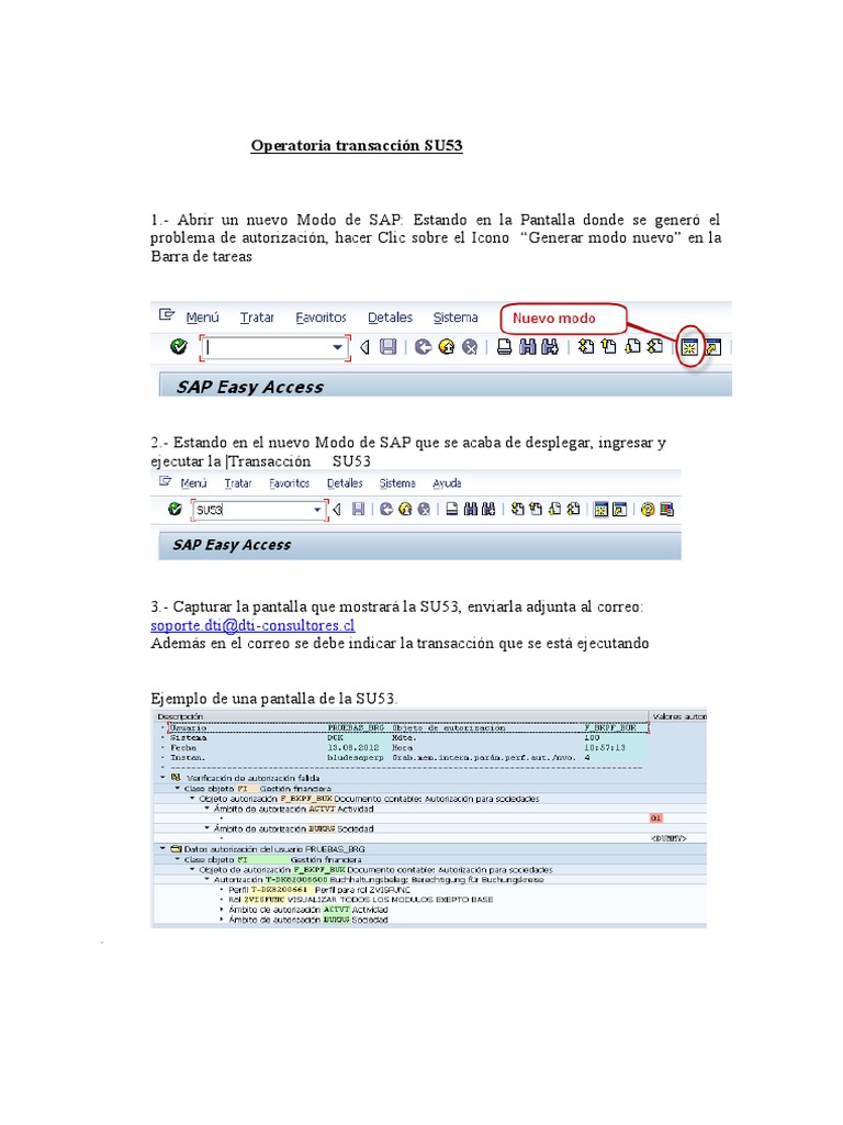 Instrucciones para Transacción SU53 en SAP | PDF