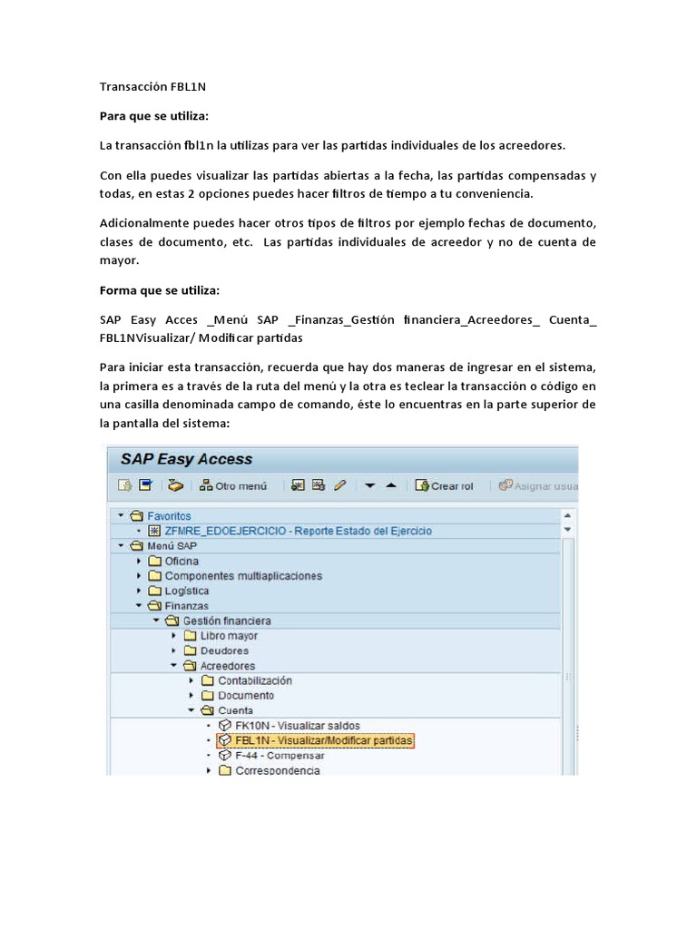 Transacción FBL1N | PDF | Informática | Software