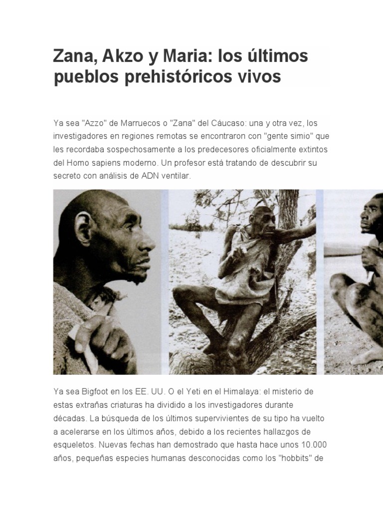 Zana | PDF | neanderthal | Yeti