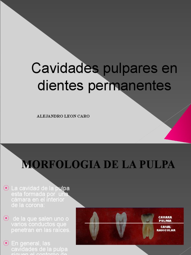 Anatomía de Cavidades Pulpares Dentales | PDF | Diente | Ramas de ...