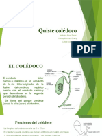 Anatomía Del Colédoco Pietrafita | PDF | Vesícula biliar ...