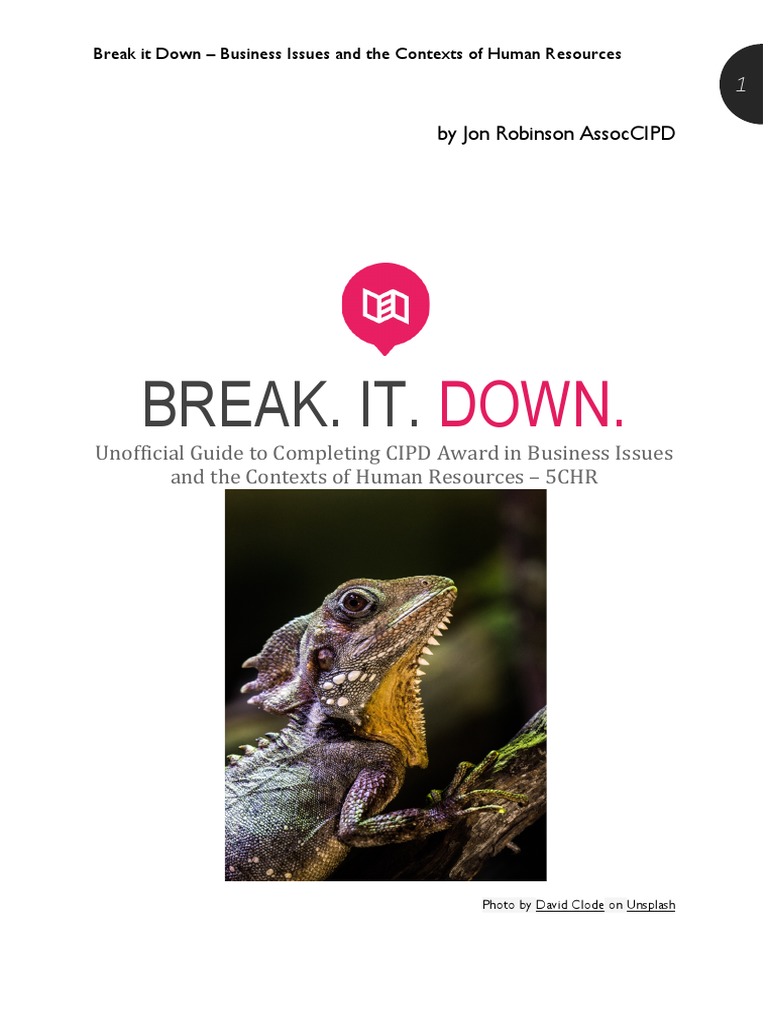 Break It Down - Business Issues and The Contexts of Human Resources ...