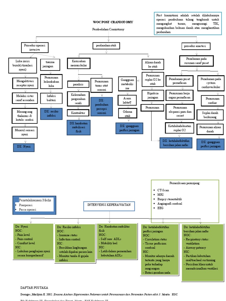 Woc Post Craniotomy | PDF