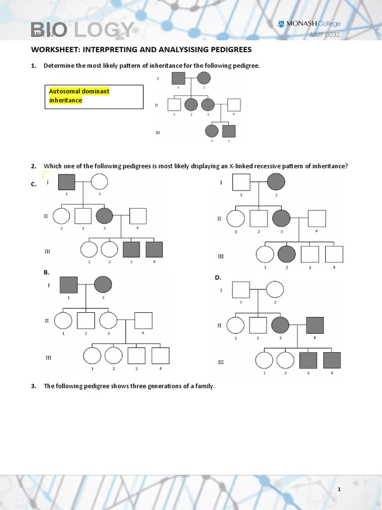 Pedigree Analysis Worksheet | PDF | Genotype | Zygosity