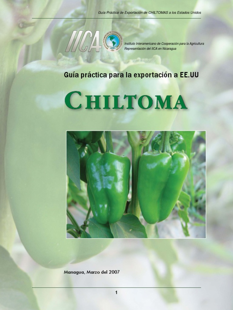 Chiltoma de Exportación | PDF | Nicaragua | Pesticida