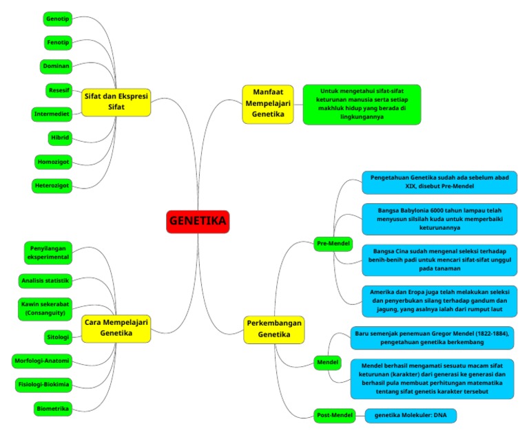 Putri Hafizzoh Ahmad-19031099-Mind Map Genetika | PDF