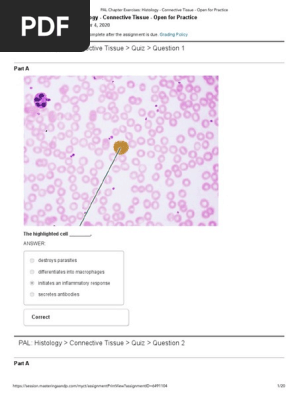 Epithelial Tissue Slides Quiz