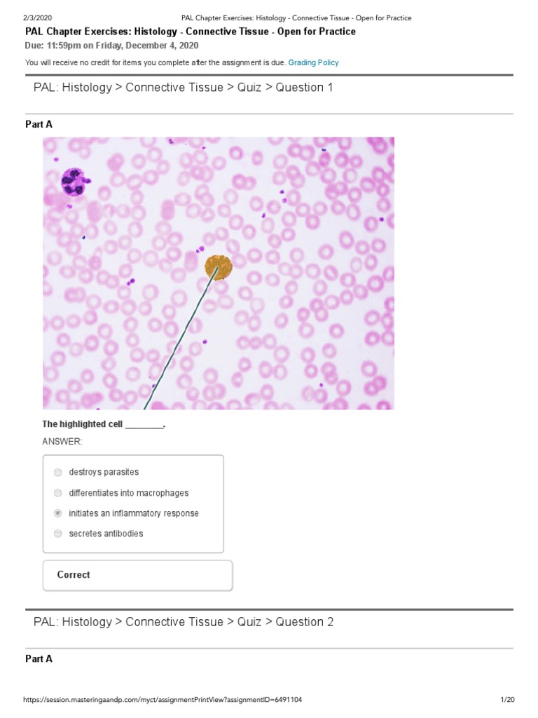 PAL Chapter Exercises Histology Connective Tissue Open For Practice PDF | PDF | Connective ...
