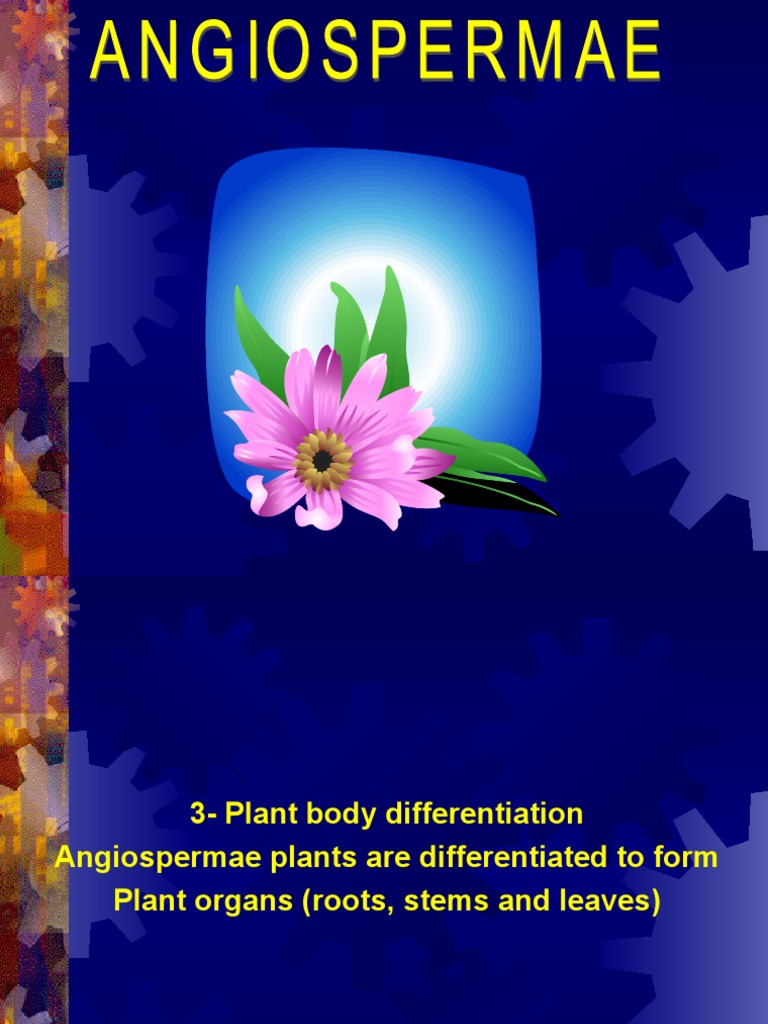 Plant Growth & Differentiation | PDF | Tissue (Biology) | Leaf