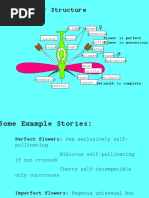 Flower | PDF | Plant Reproduction | Flowers