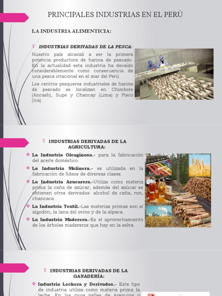 Principales Industrias en El Perú | PDF | Acero | Ganadería