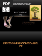 Comparativa: Ángulos de Meary y Costa-Bartani | PDF | Pie | Sistema ...