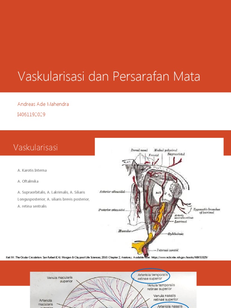 Vaskularisasi Dan Persarafan Mata | PDF