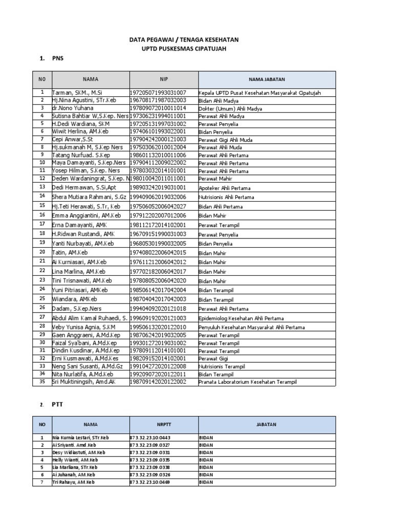 Data Nakes PKM Cipatujah Ya | PDF