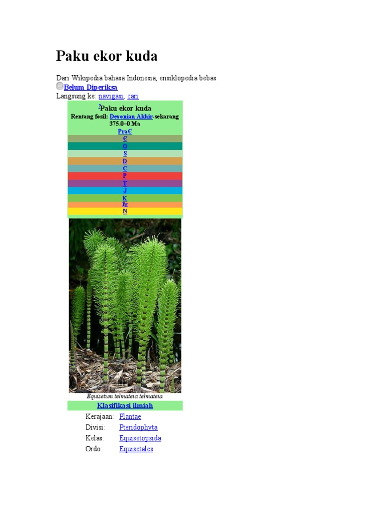 Paku Ekor Kuda | PDF