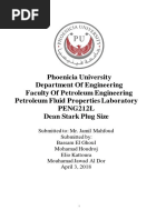 Dye and Pry Procedure | PDF | Industrial Processes | Chemistry