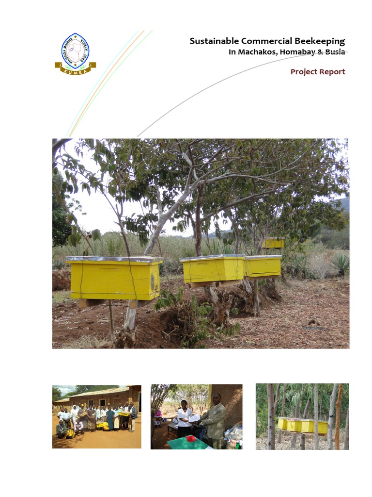 Sustainable Commercial Beekeeping Report Download Free Pdf Beehive